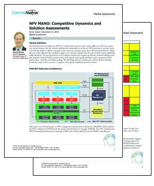 NFV MANO Report: Competitive Dynamics and Solution Assessments